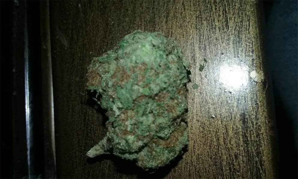 Photos of Himalayan Gold Weed Strain Buds | Leafly