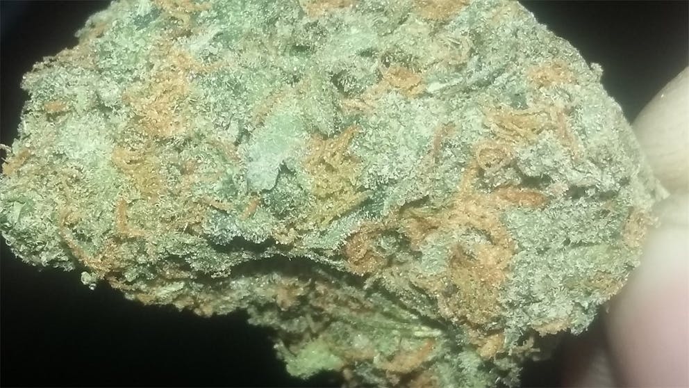 Photos of Hippie Crippler Weed Strain Buds | Leafly