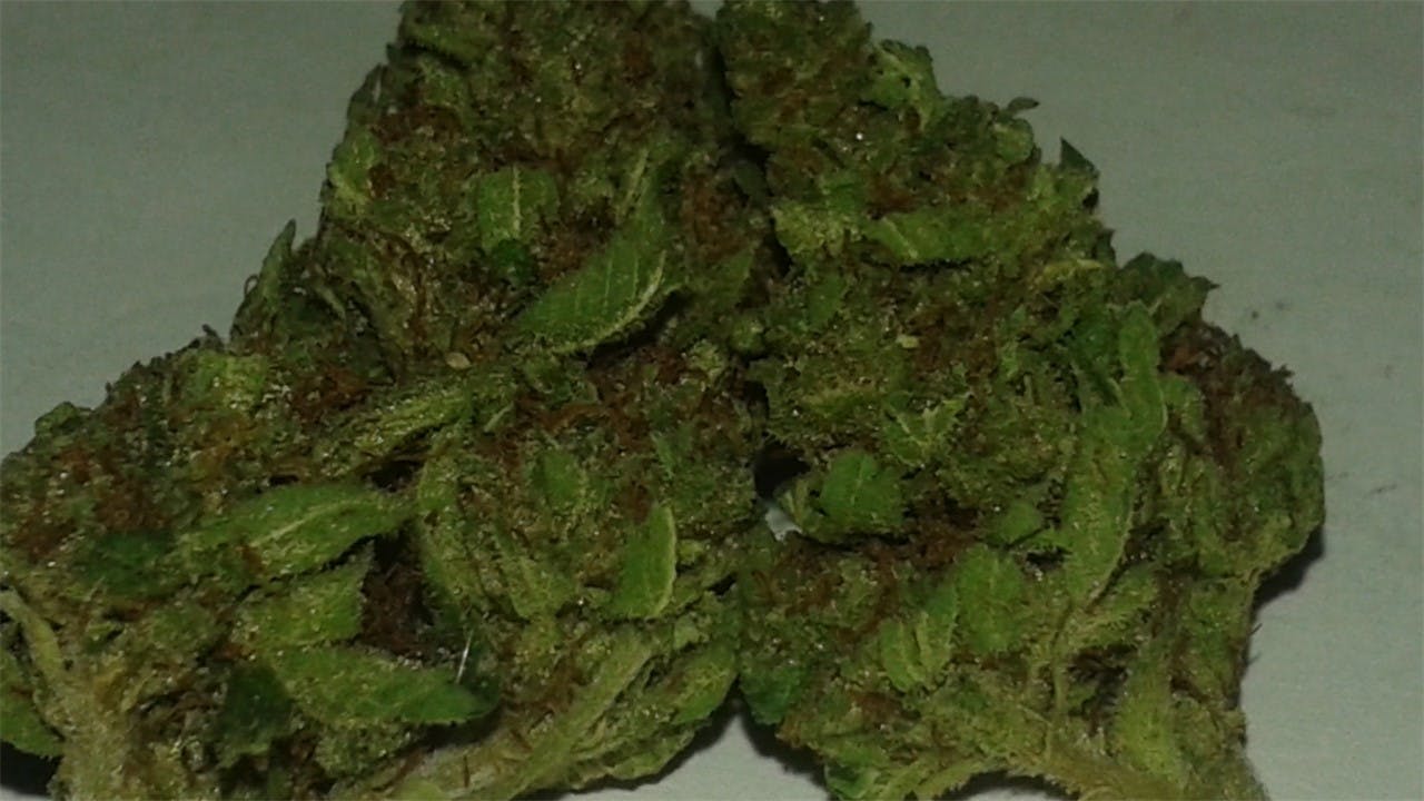 Photos of Hippie Crippler Weed Strain Buds | Leafly