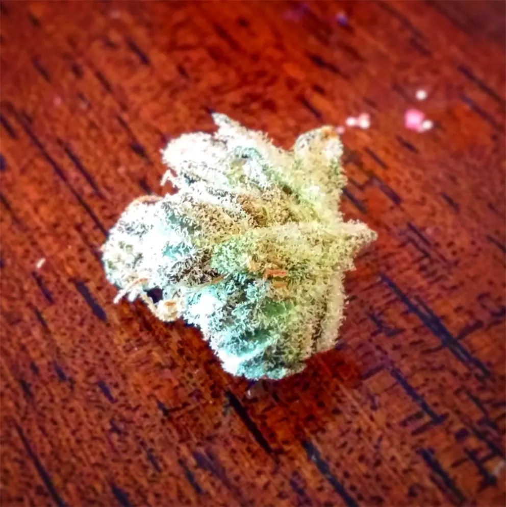 Photos of Honey Bananas Weed Strain Buds | Leafly