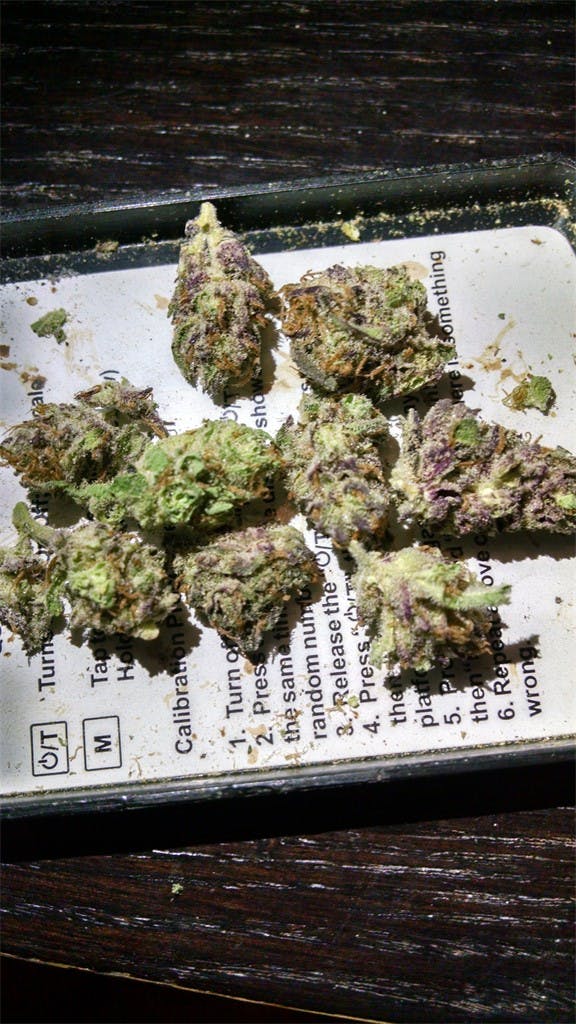 Photos of Hurricane Weed Strain Buds | Leafly