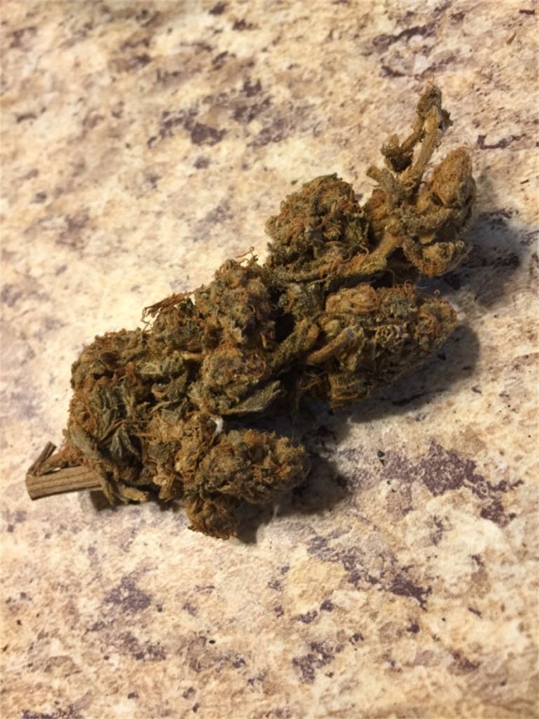 Photos of Hurricane Weed Strain Buds | Leafly