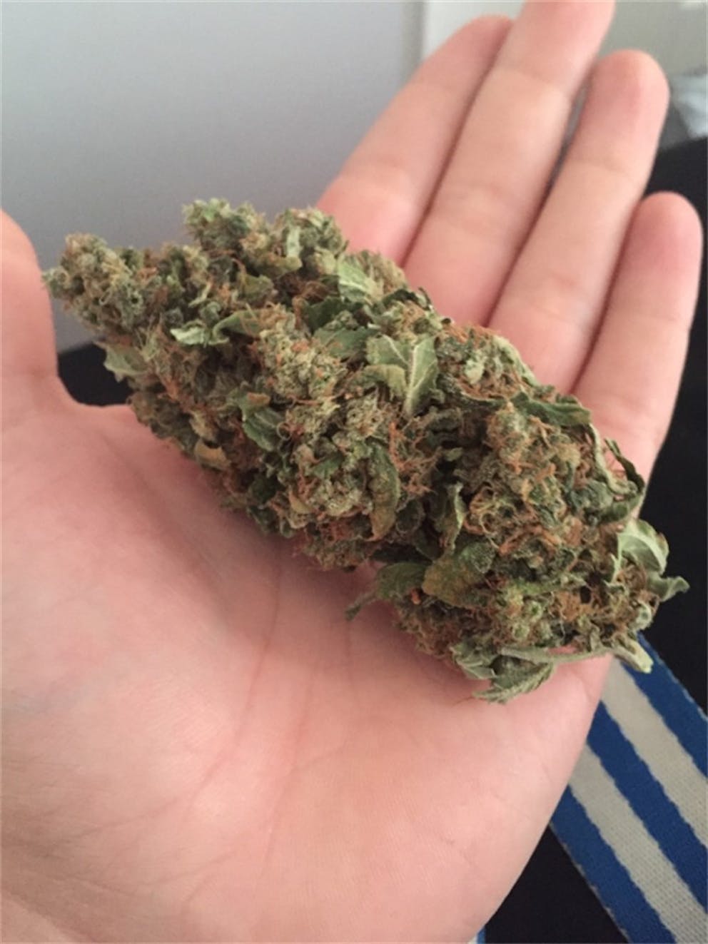 Photos of Ice Weed Strain Buds | Leafly