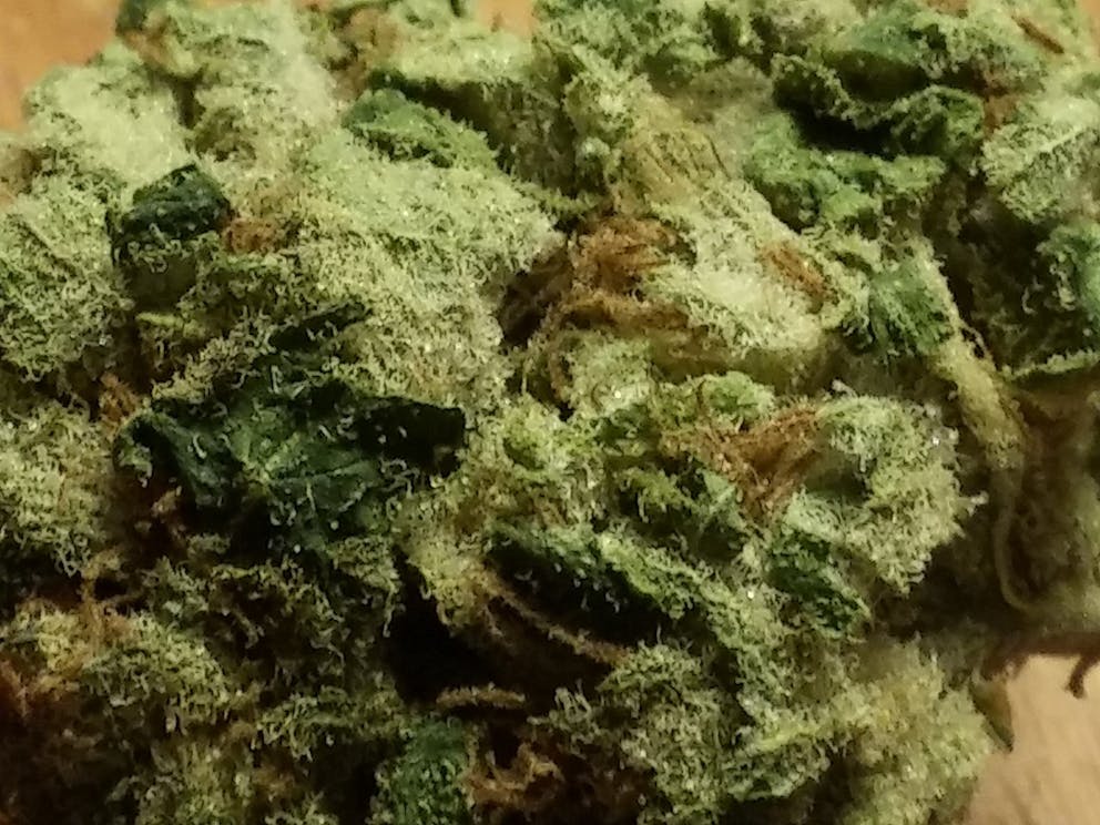 Photos of Ice Weed Strain Buds | Leafly