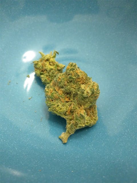 Ingrid Weed Strain Information | Leafly