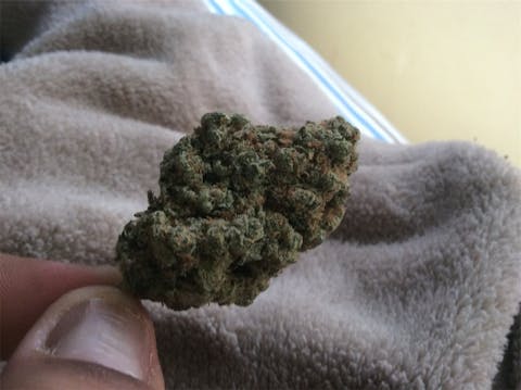 Ingrid Weed Strain Information | Leafly