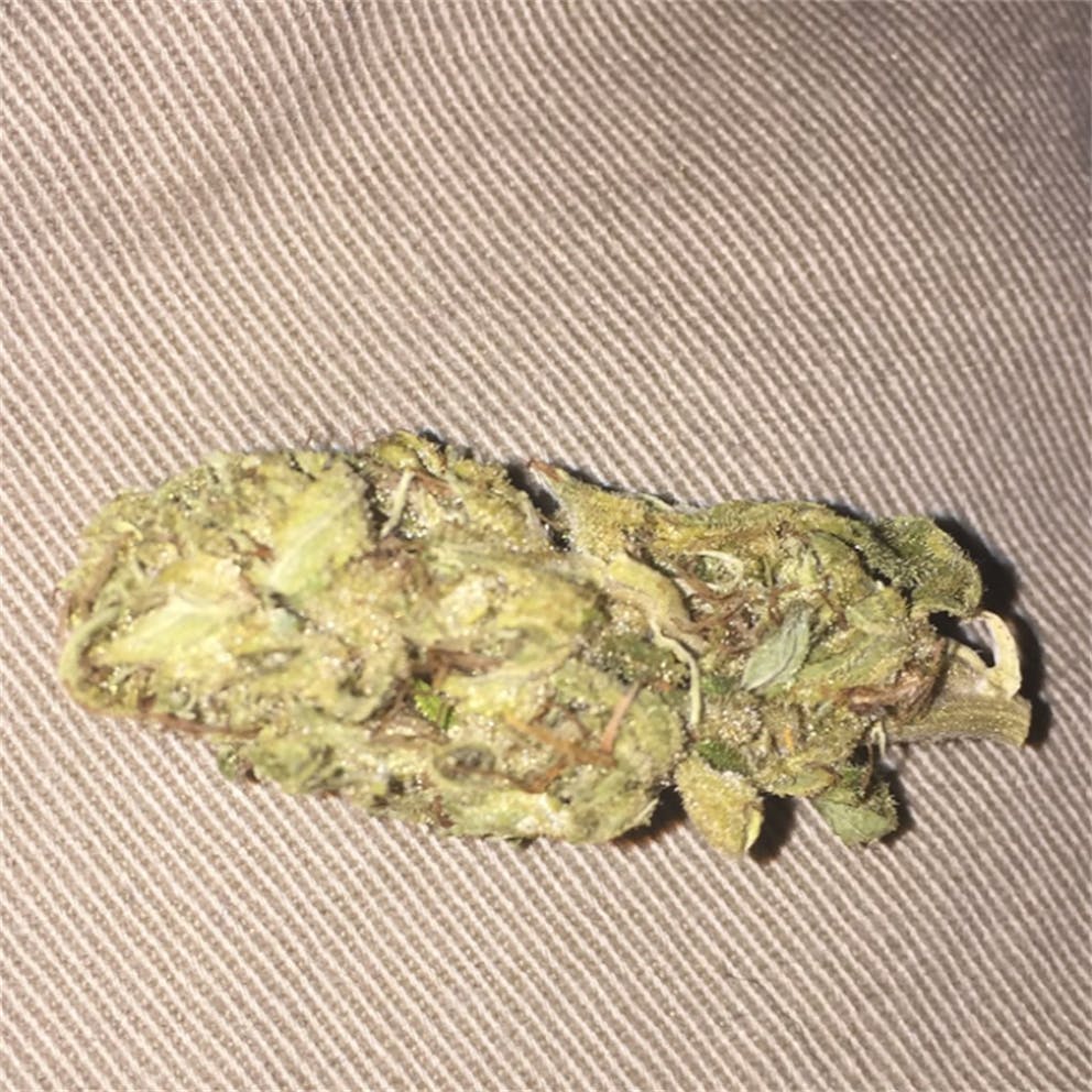 Photos of Iron Triangle Weed Strain Buds | Leafly