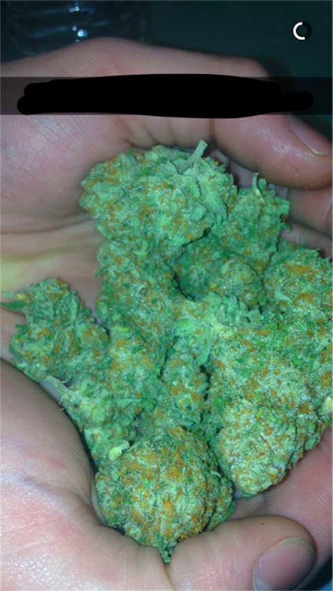 Island Maui Haze aka Maui Haze Weed Strain Information | Leafly