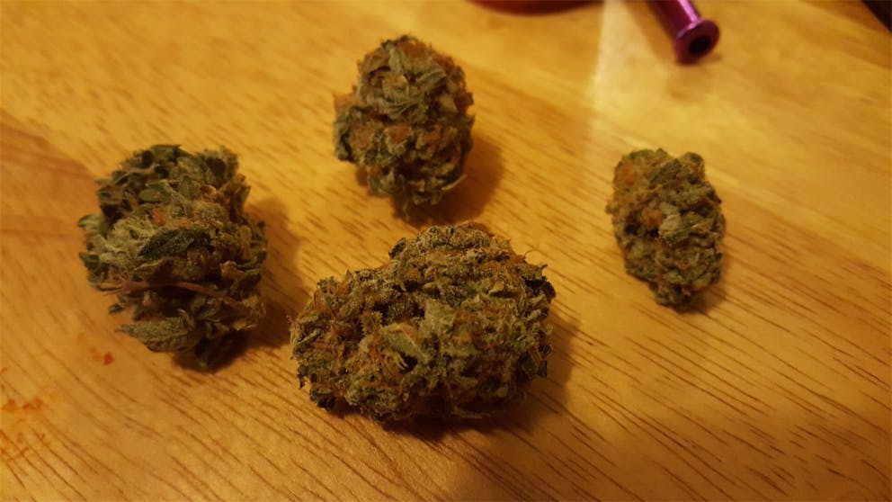 Photos of Jack Flash Weed Strain Buds | Leafly