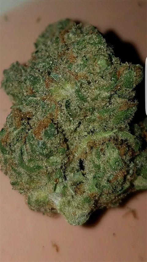 Jack Flash Weed Strain Information | Leafly