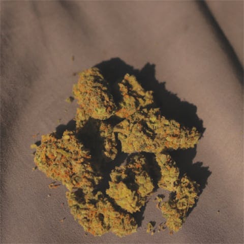 Jack Herer aka JH, The Jack, Premium Jack, Platinum Jack, Jack Weed ...