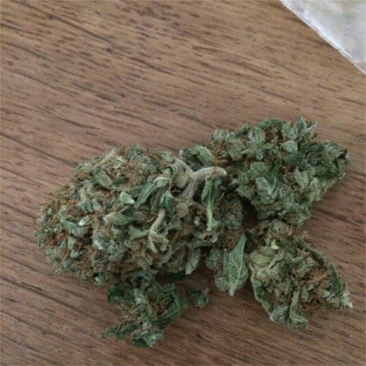 Photos of Jack Herer Weed Strain Buds | Leafly