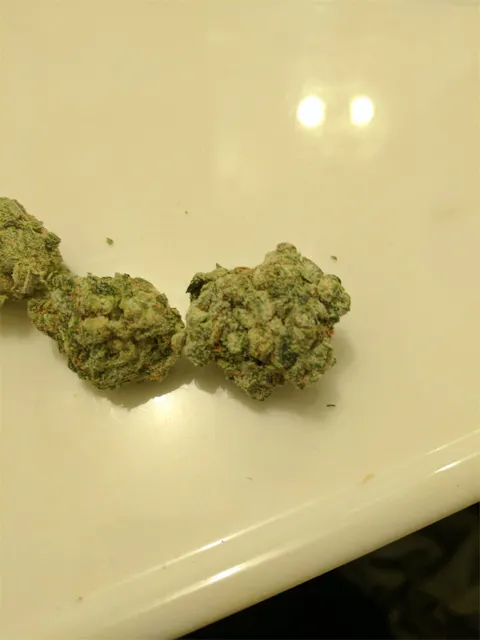 Jazz Weed Strain Information | Leafly