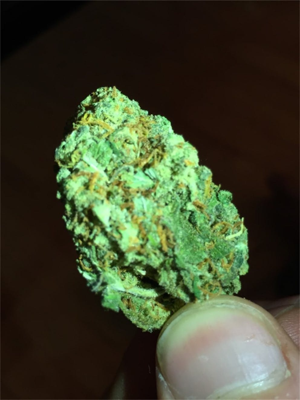 Photos of Jean Guy Weed Strain Buds | Leafly