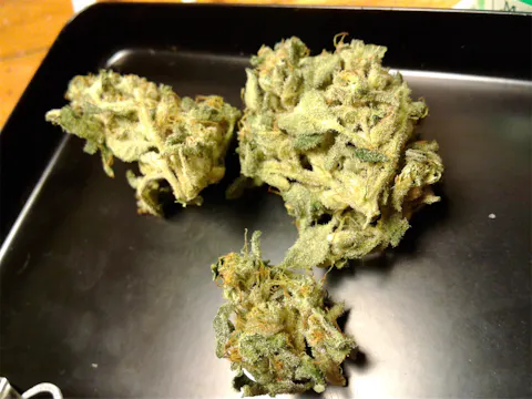 Jesus OG aka Jesus Christ OG, Jesus OG Kush, Odysseus OG Weed Strain ...