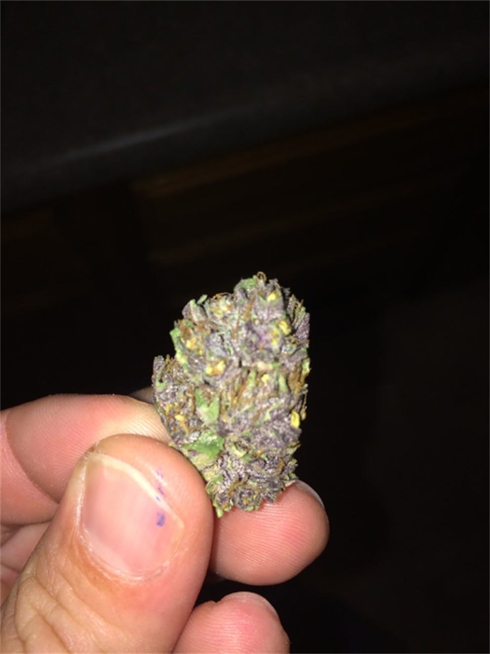 Photos of Jager Weed Strain Buds | Leafly