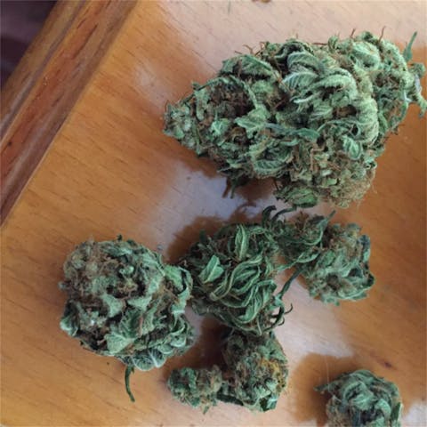 Juicy Fruit aka Juicy Fruit OG, Fruity Juice Weed Strain Information ...