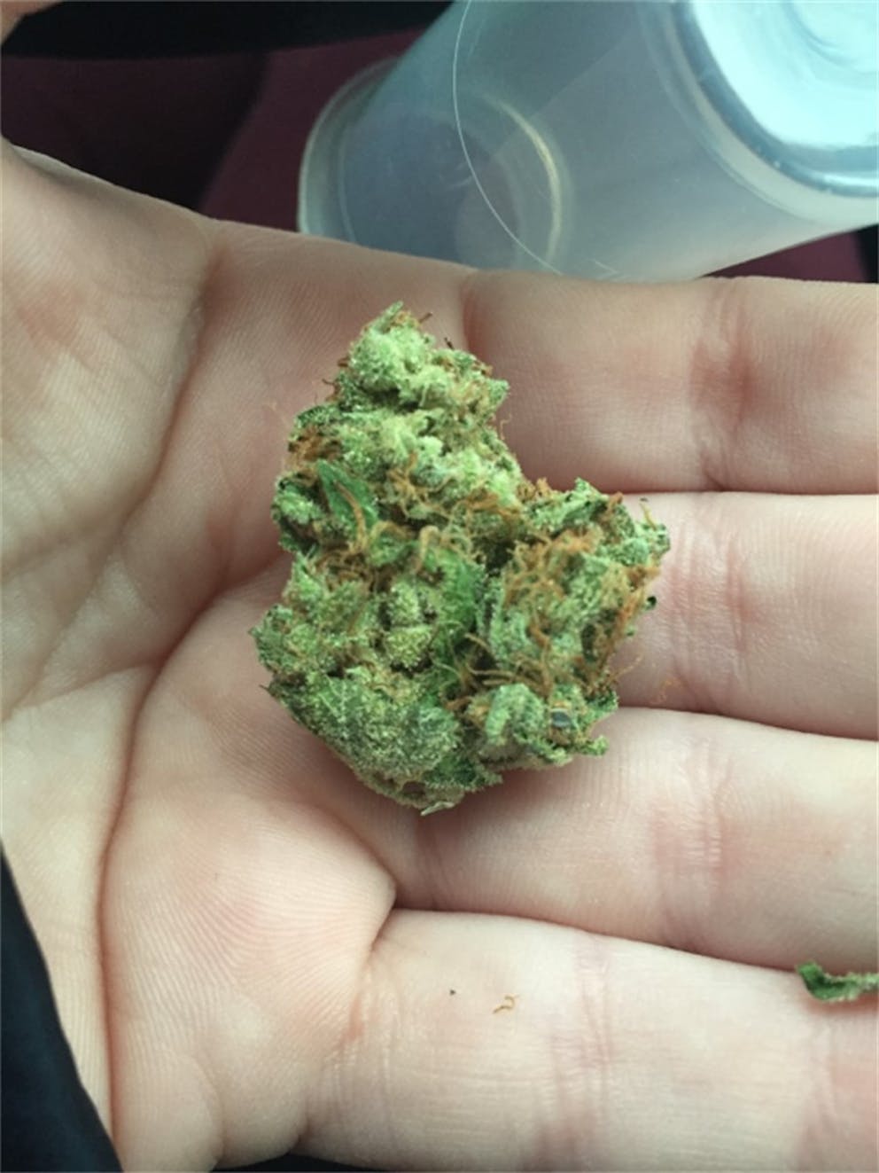 Photos of Juicy Fruit Weed Strain Buds | Leafly