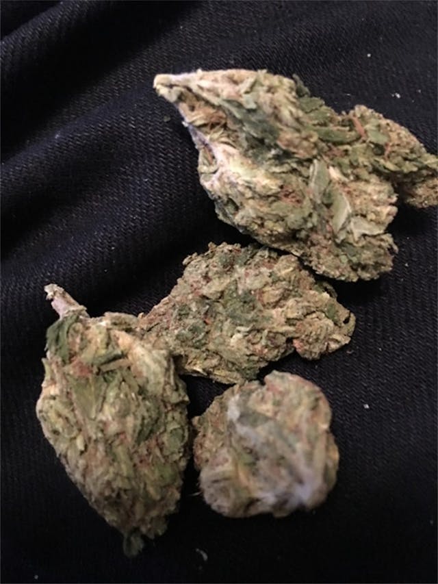 Photos of Jungle Juice Weed Strain Buds | Leafly