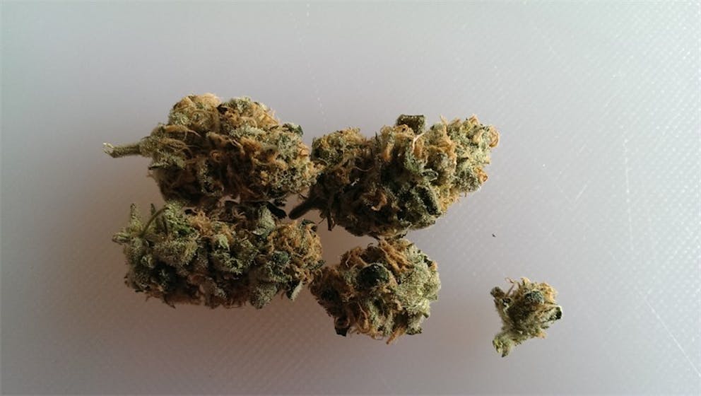 Photos of Kaboom Weed Strain Buds | Leafly