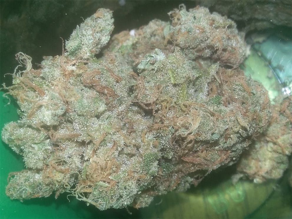 Photos of Kaboom Weed Strain Buds | Leafly