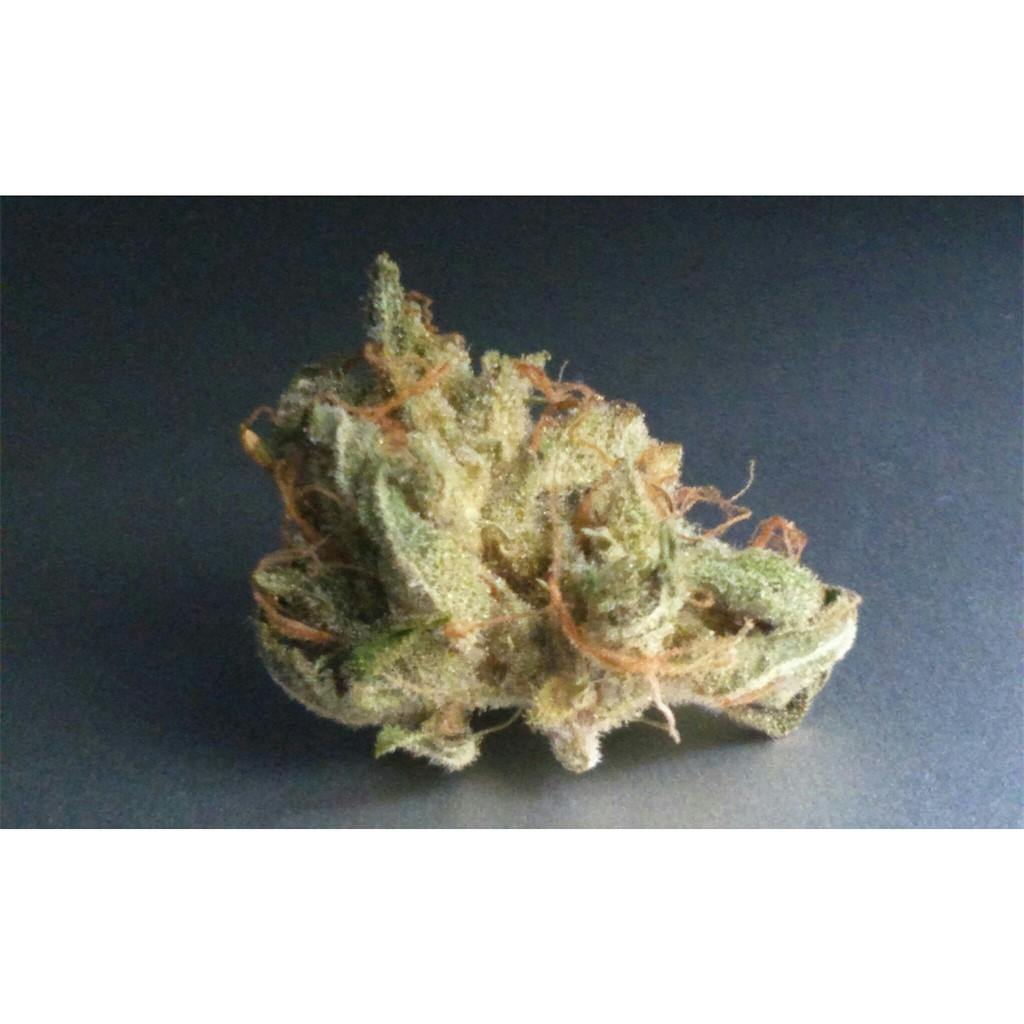 Photos of Kali Mist Weed Strain Buds | Leafly