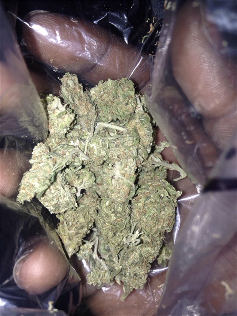 Photos of Kali Mist Weed Strain Buds | Leafly