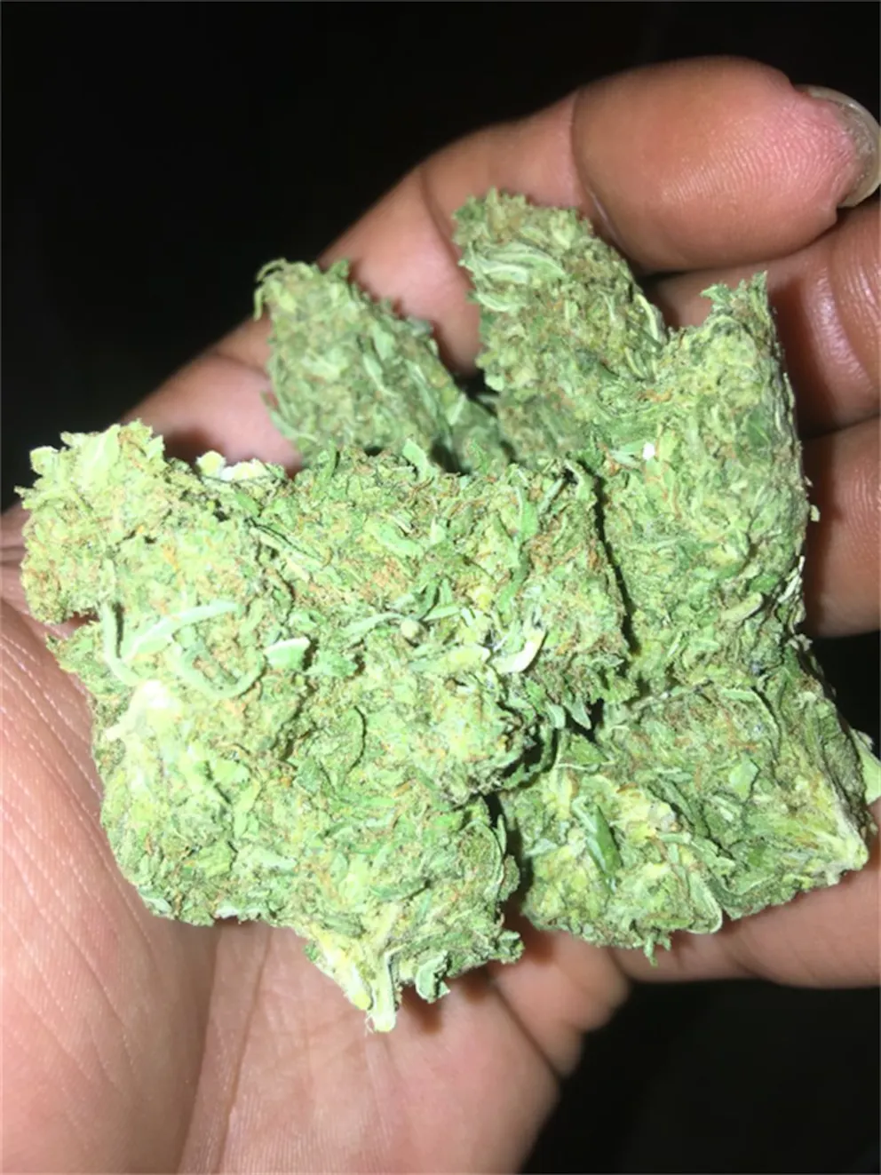 Photos of Khalifa Kush Weed Strain Buds | Leafly