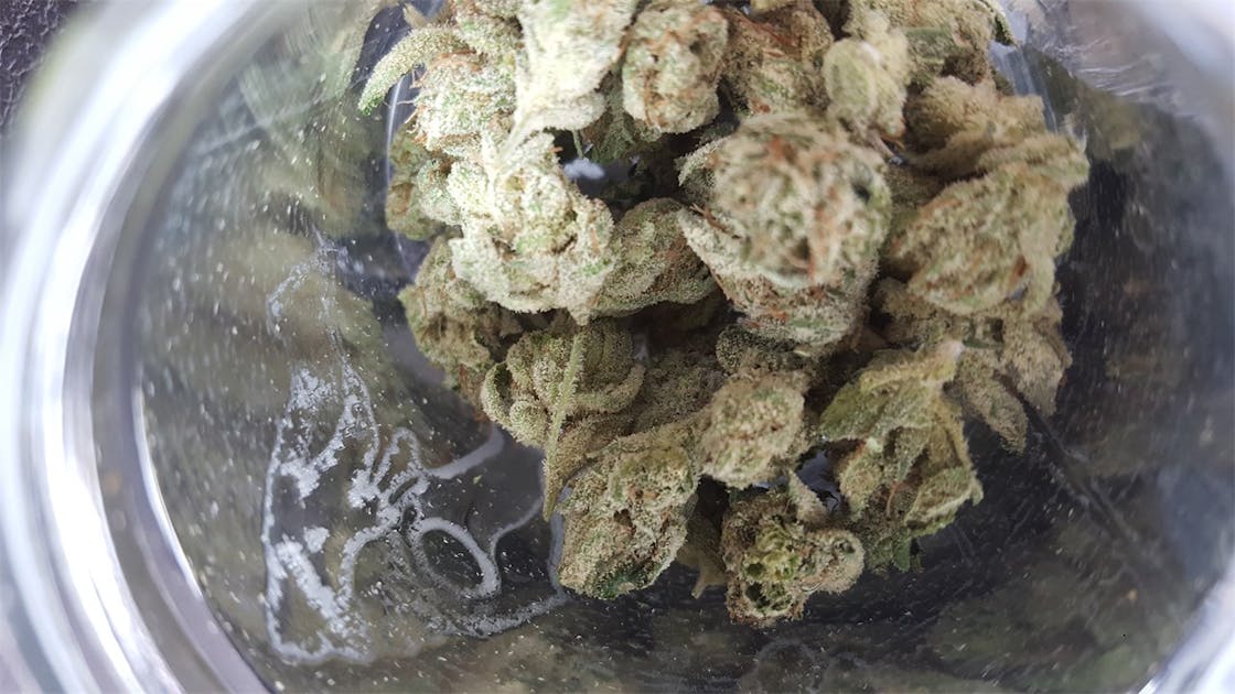 Photos of Khalifa Kush Weed Strain Buds | Leafly