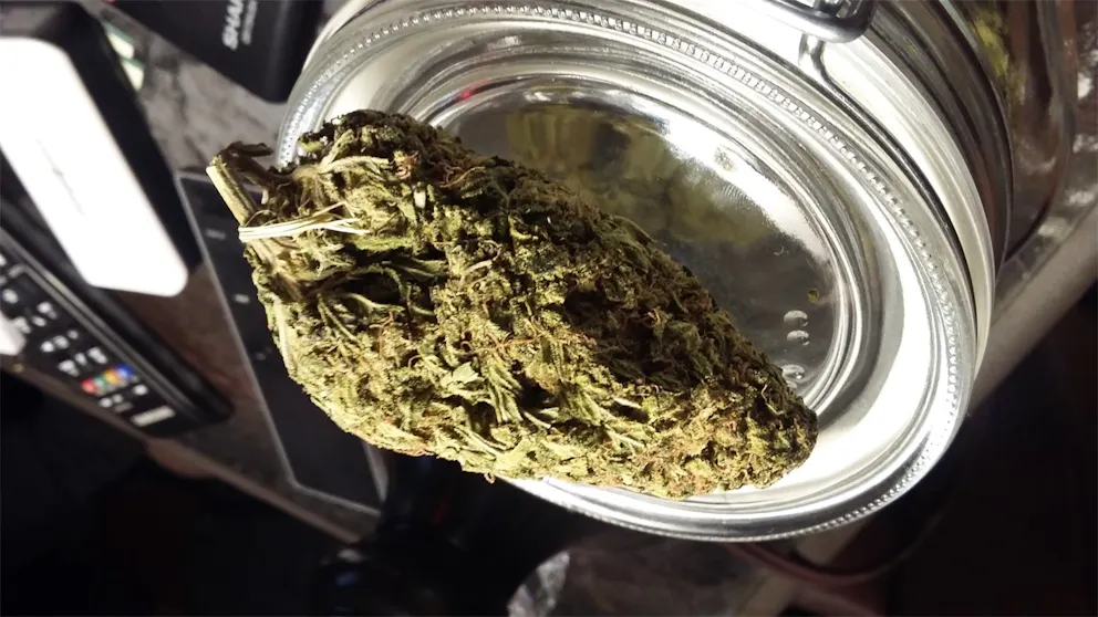 Photos of King Kong Weed Strain Buds | Leafly