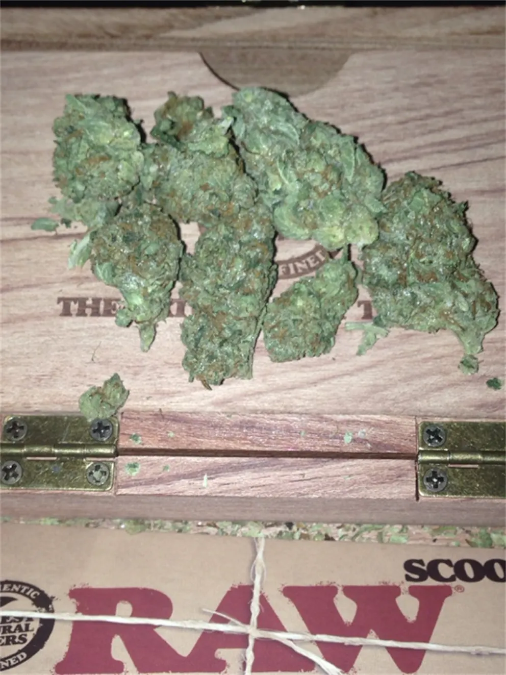 Photos of King Louis Weed Strain Buds | Leafly