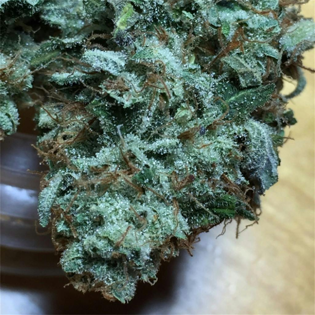 Photos of King Louis Weed Strain Buds | Leafly