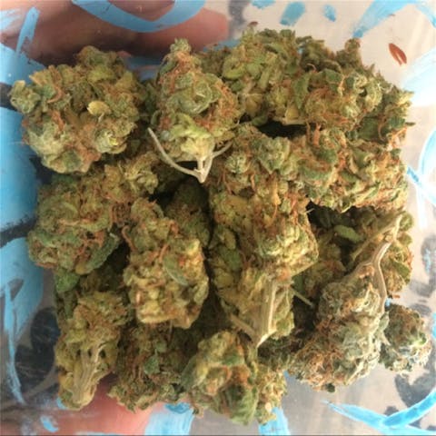 Kosher Tangie Weed Strain Information | Leafly