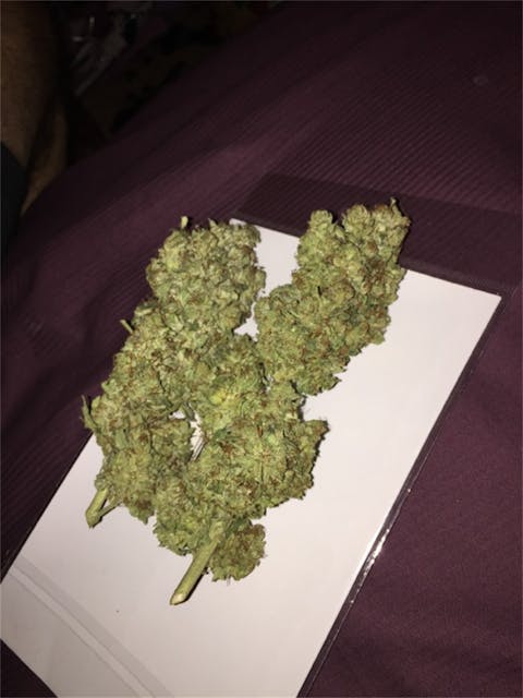 LA Chocolat aka LA Chocolope, LA Chocolate Weed Strain Information | Leafly