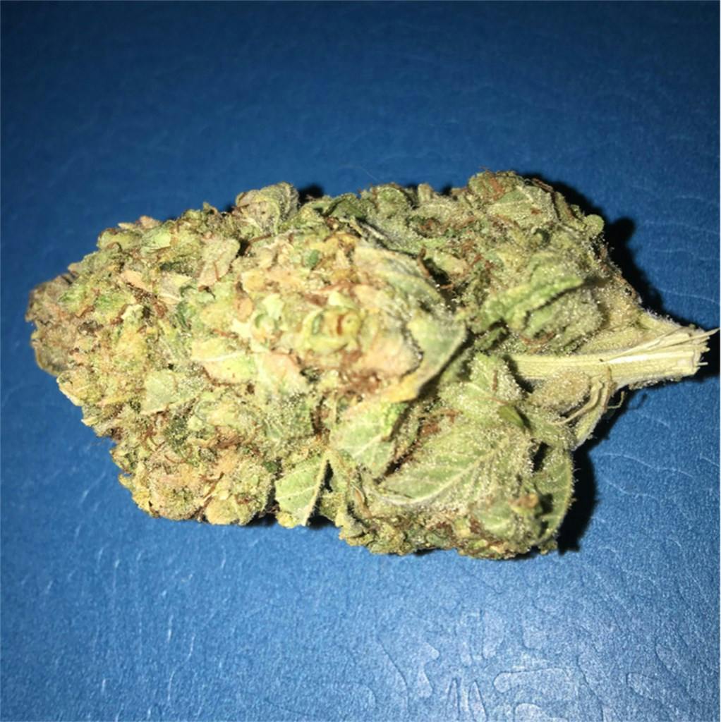 Photos of Lamb's Bread Weed Strain Buds | Leafly