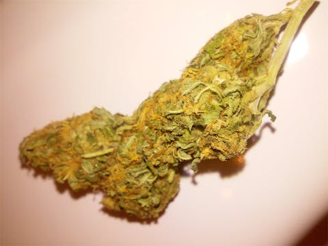 Lamborghini aka Lambo Weed Strain Information | Leafly