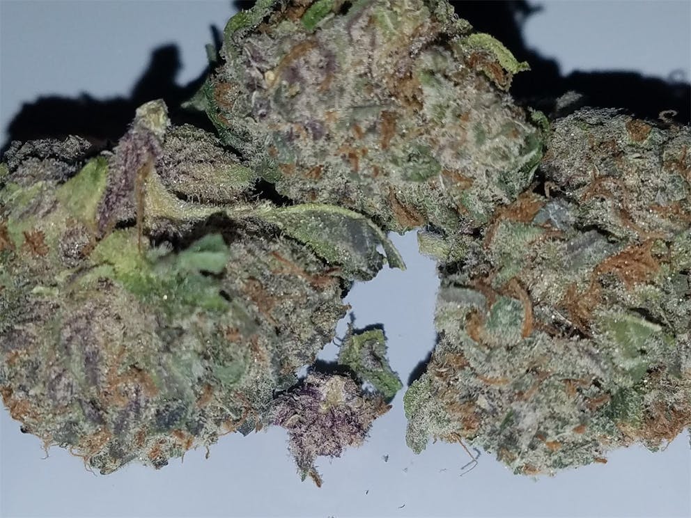 Photos of Larry OG Weed Strain Buds | Leafly