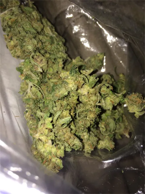 Lavender Haze aka G13 Haze Lavender Weed Strain Information | Leafly