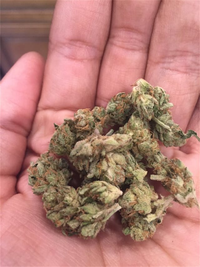 Photos of Lemon Diesel Weed Strain Buds | Leafly