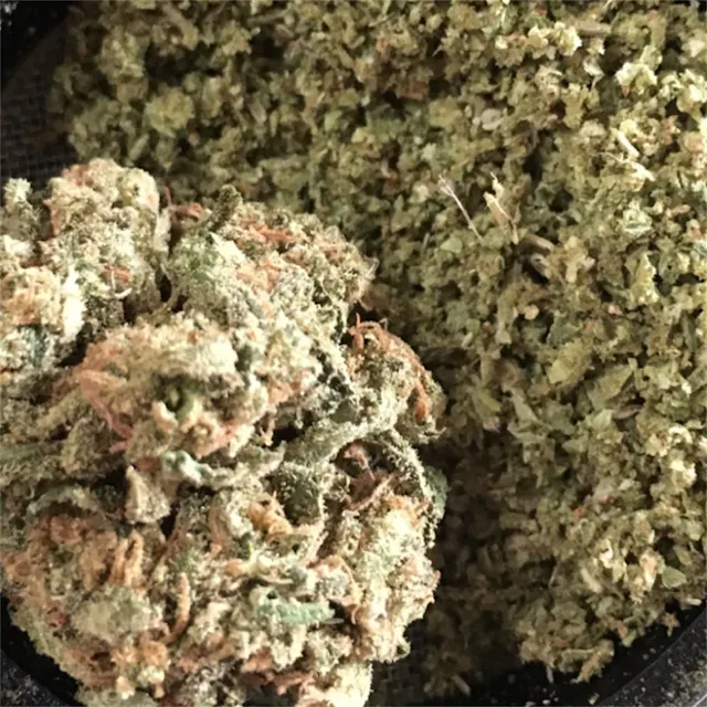 Photos of Lemon Haze Weed Strain Buds | Leafly