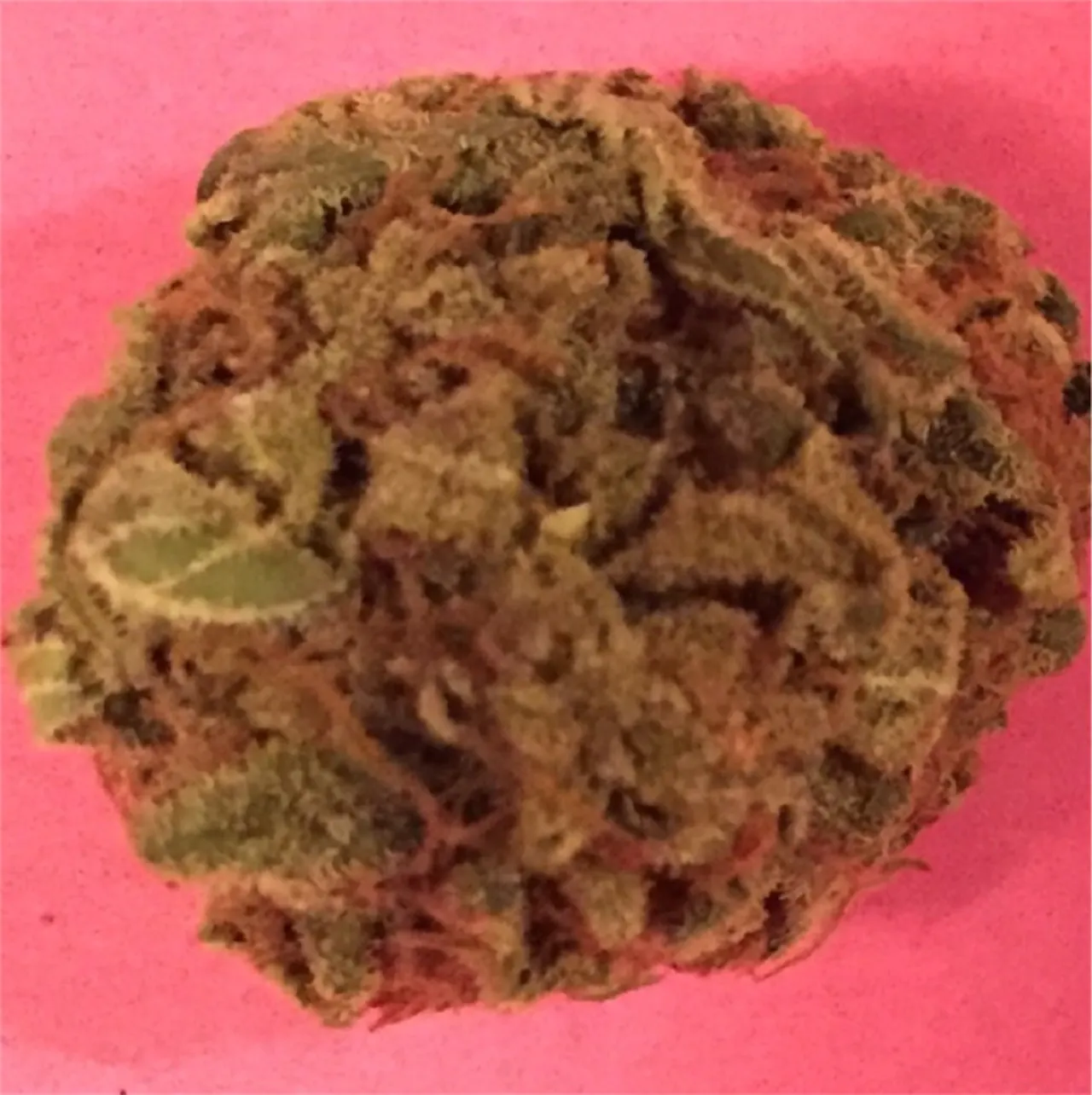 Photos of Lemon Haze Weed Strain Buds | Leafly