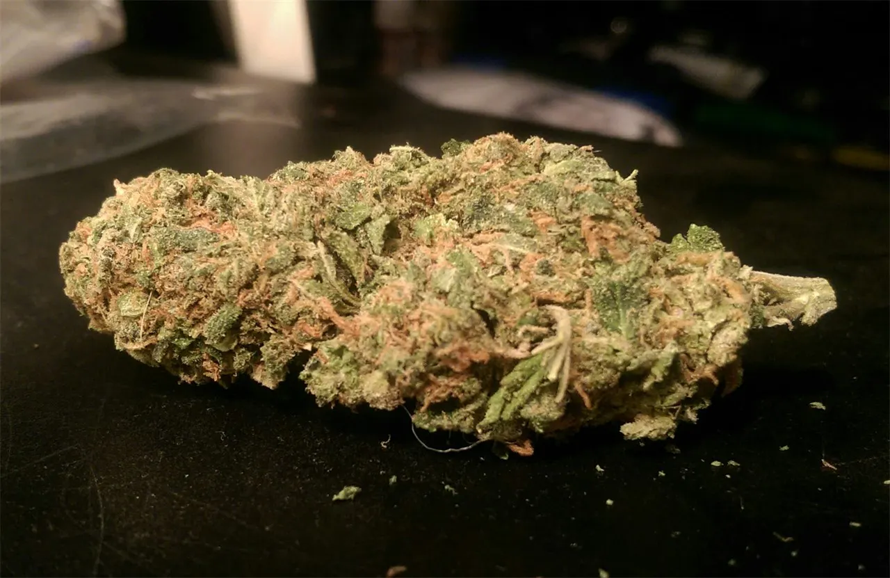 Photos of Lemon Haze Weed Strain Buds | Leafly