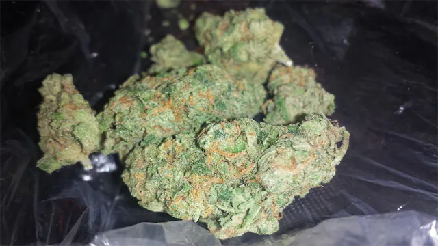 Photos of Lemon Haze Weed Strain Buds | Leafly