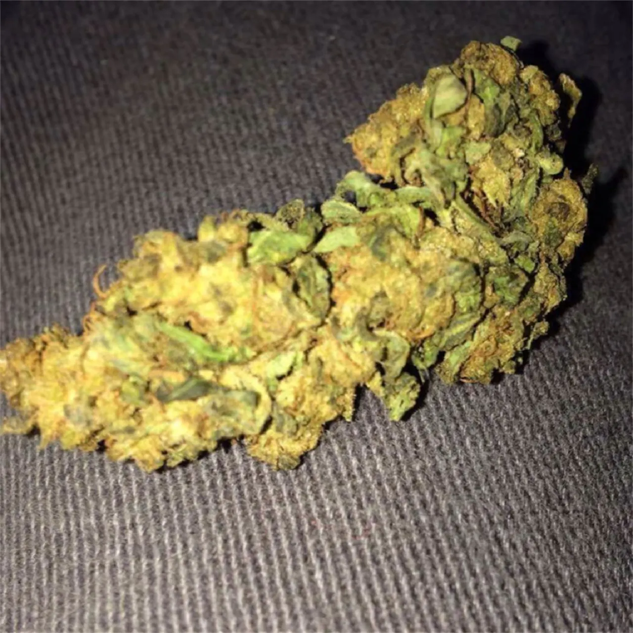 Photos of Lemon Haze Weed Strain Buds | Leafly