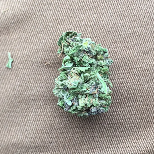 Photos of Lemon Haze Weed Strain Buds | Leafly
