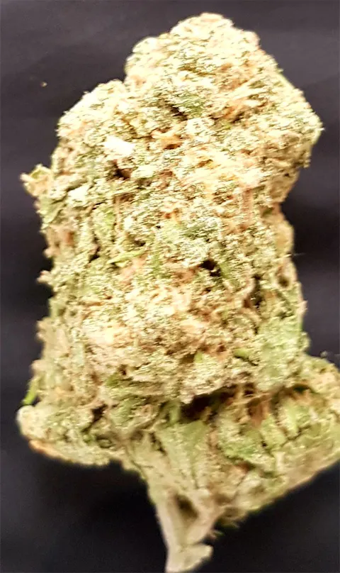 Lemon Meringue aka Lemon Meringue Pie, Lemon Meringue Kush Weed Strain ...
