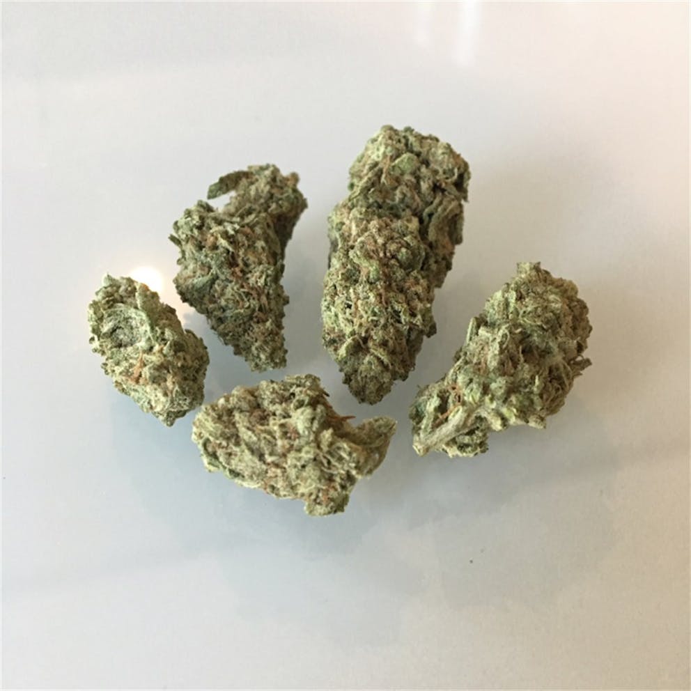 Photos of Lemon Pie Weed Strain Buds | Leafly