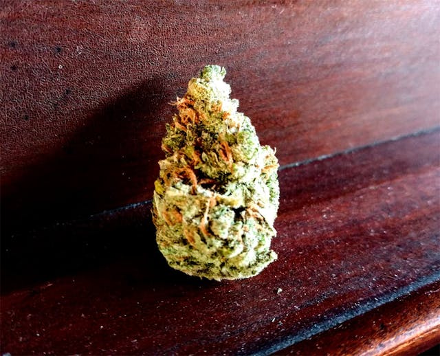 Photos of Lemon Skunk Weed Strain Buds | Leafly