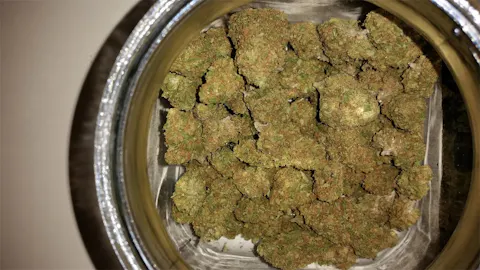 Lemon Walker OG aka Lemon Walker OG Kush Weed Strain Information | Leafly