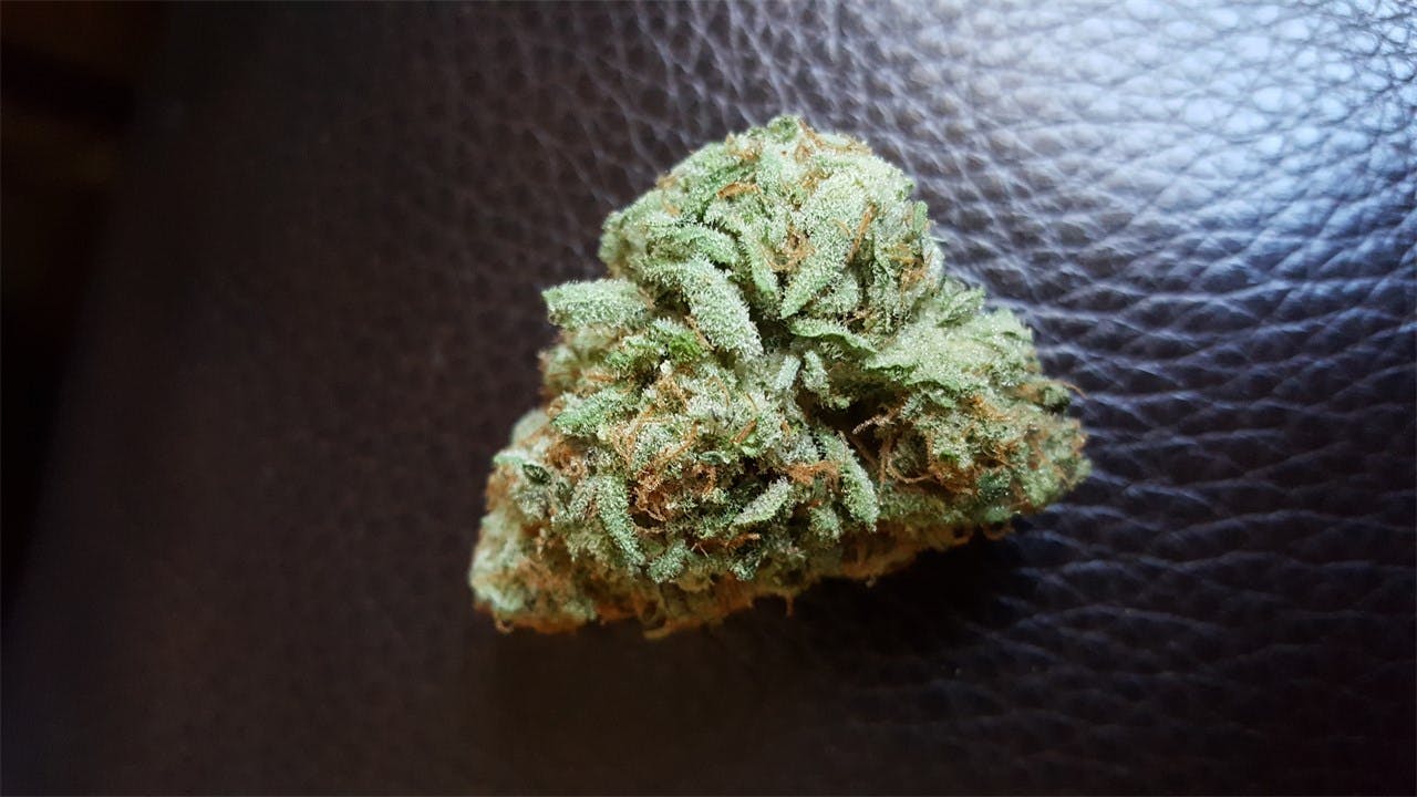 Photos of Longbottom Leaf Weed Strain Buds | Leafly